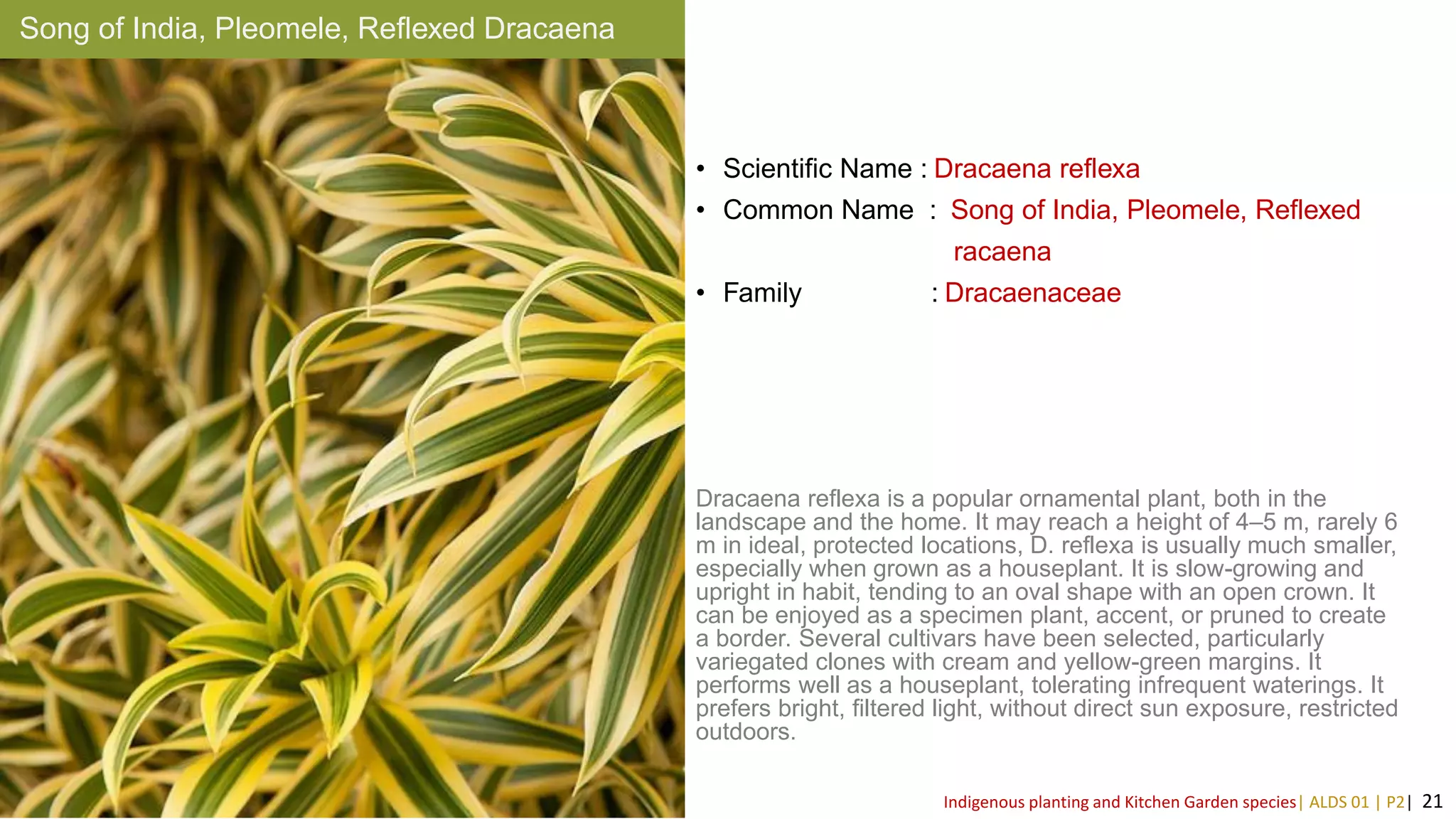Indigenous plant species of Kerala | PDF