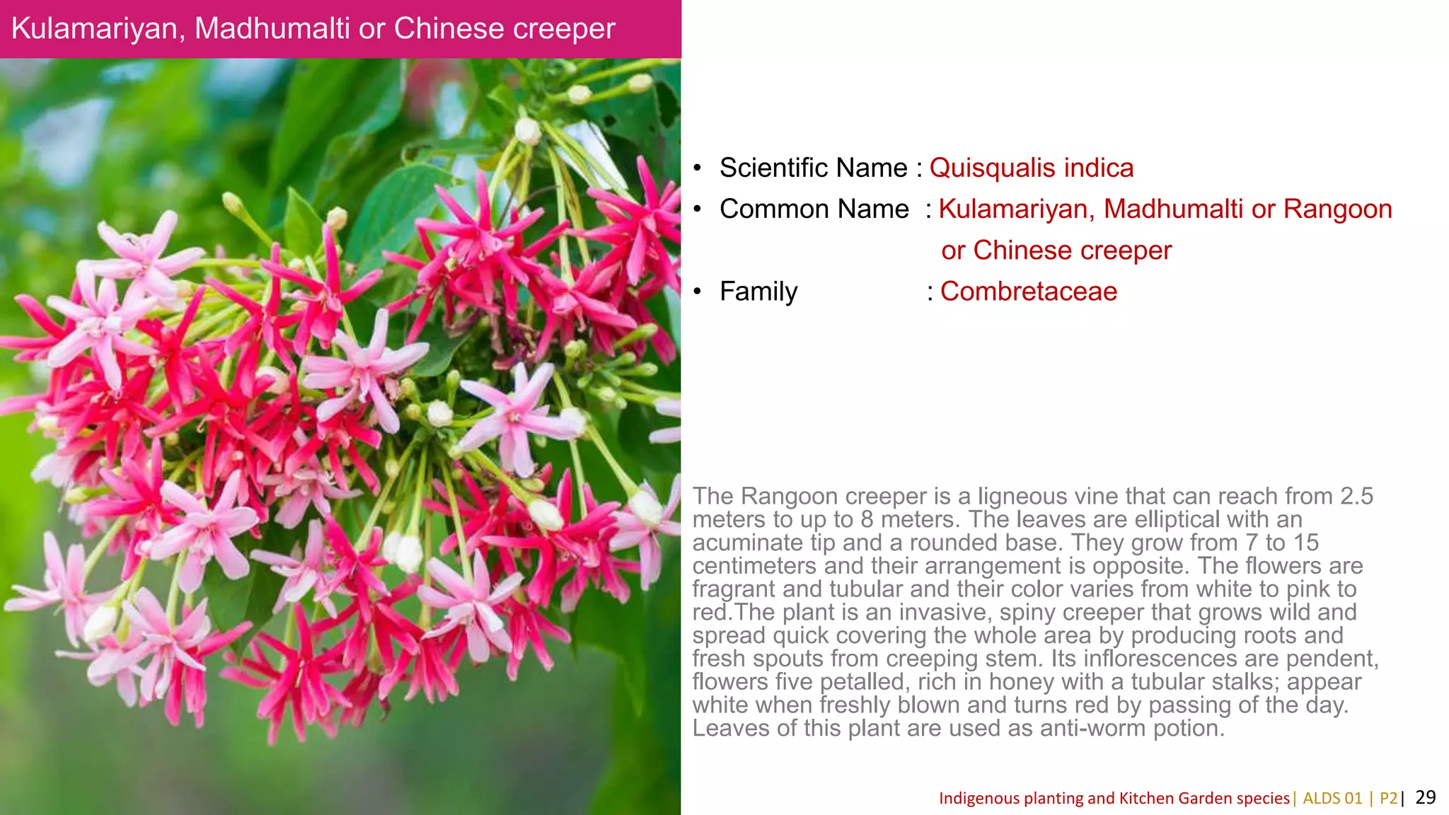Indigenous plant species of Kerala | PDF