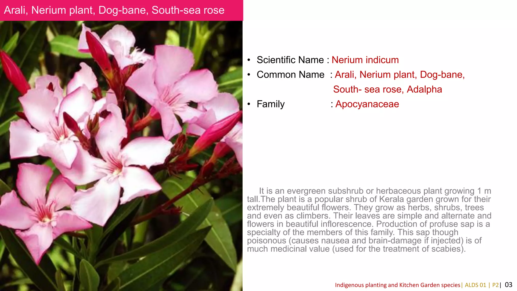 Indigenous plant species of Kerala | PDF