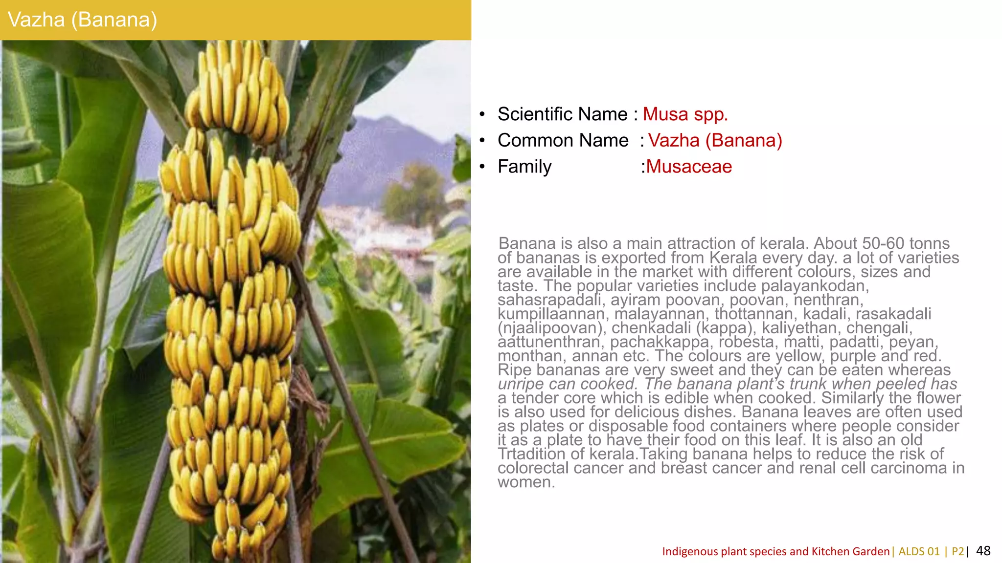 Indigenous plant species of Kerala | PDF