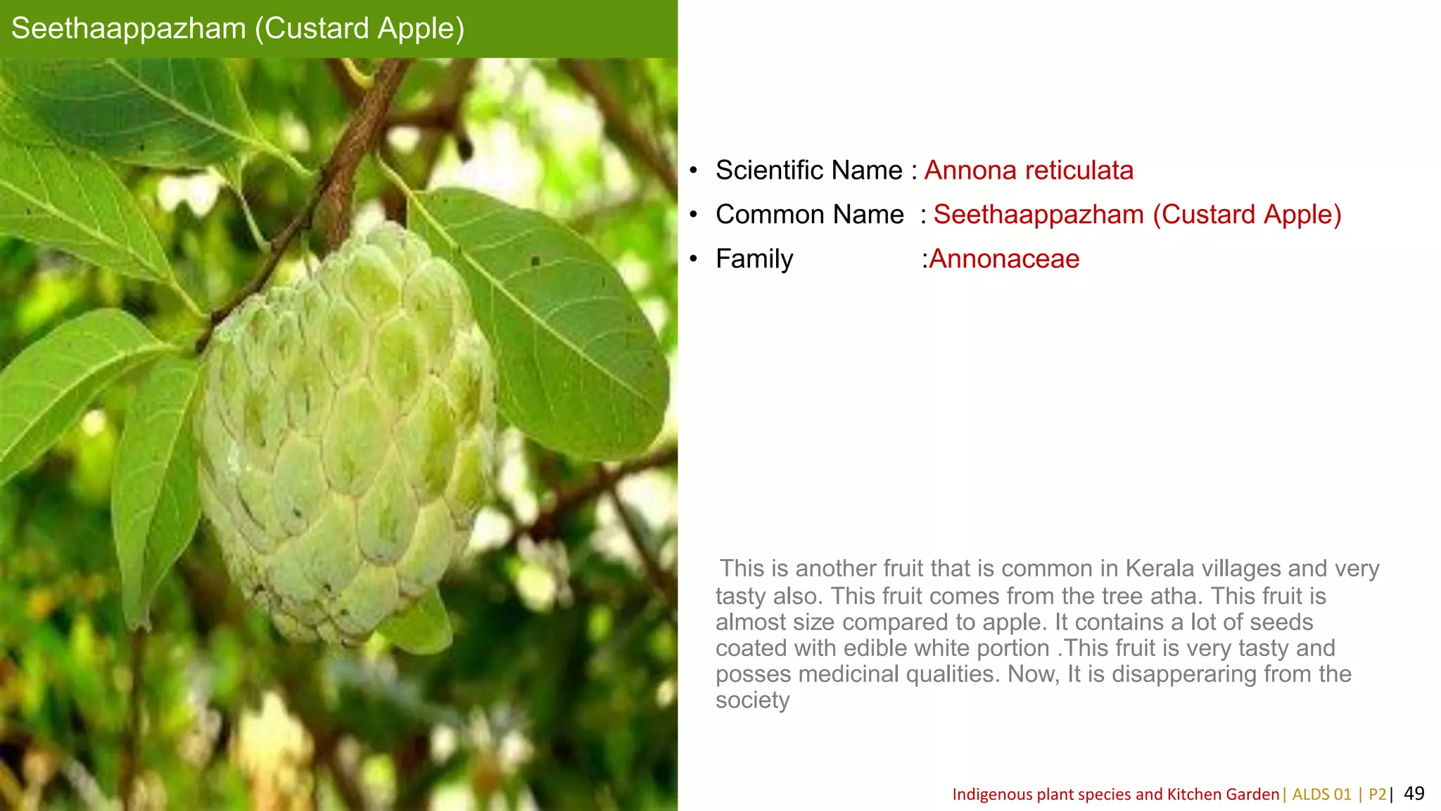 Indigenous plant species of Kerala | PDF