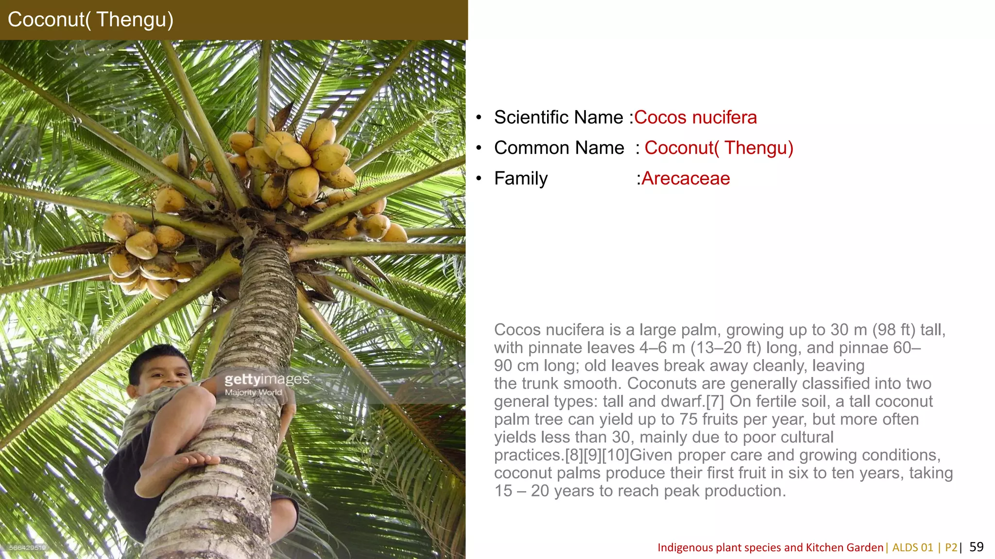 Indigenous plant species of Kerala | PDF