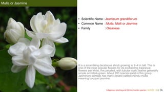 Indigenous plant species of Kerala | PDF