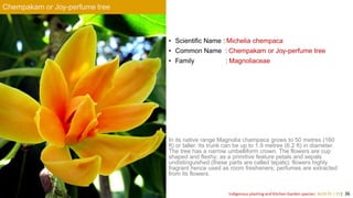 Indigenous plant species of Kerala | PDF