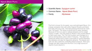 Indigenous plant species of Kerala | PDF