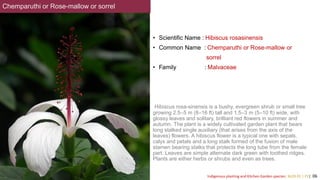 Indigenous plant species of Kerala | PDF