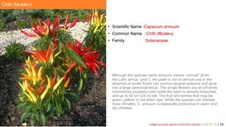 Indigenous plant species of Kerala | PDF