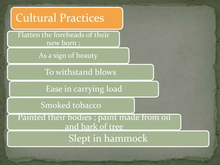 Indigenous plp | PPT