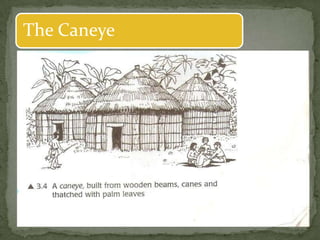 Indigenous plp | PPT