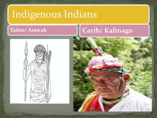 Indigenous plp | PPT