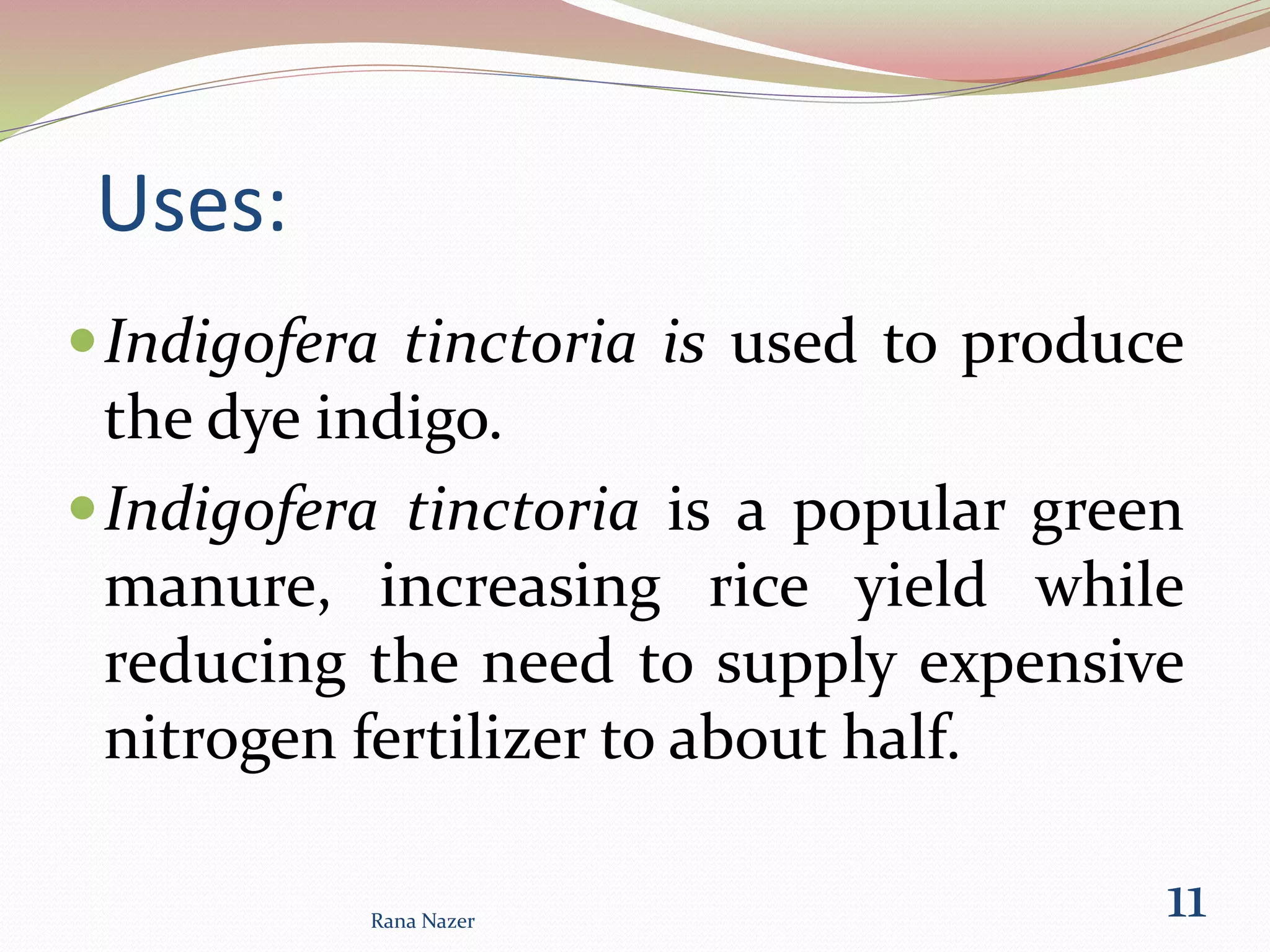 Production Technology of Indigo | PPTX