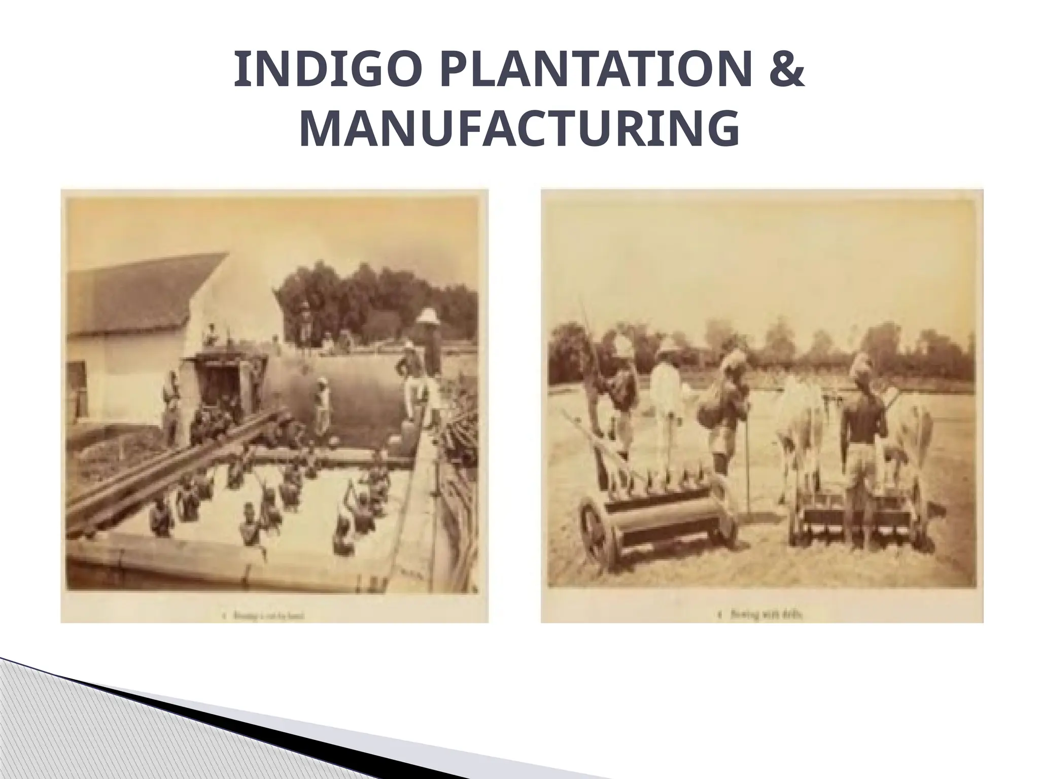 INDIGO Class 12 ENGLISH, Dav Chandrasekharpur | PPTX