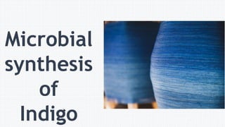 Microbial Synthesis of Indigo | PPTX