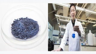Microbial Synthesis of Indigo | PPTX