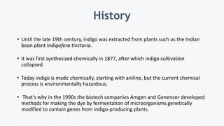 Microbial Synthesis of Indigo | PPTX