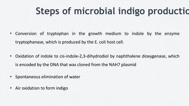 Microbial Synthesis of Indigo | PPTX