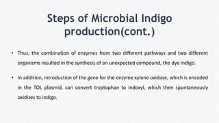 Microbial Synthesis of Indigo | PPTX