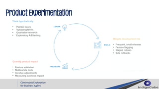 IndigoCube - business agility through continuous exploration by Calton ...