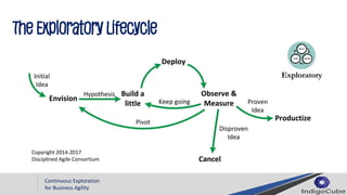 IndigoCube - business agility through continuous exploration by Calton ...