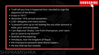 INDIGO key terms .pdf