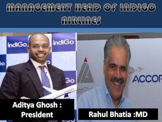 indigo value chain ppt | PPT