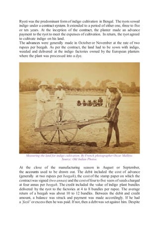 Indigo Revolt in Bengal | DOCX