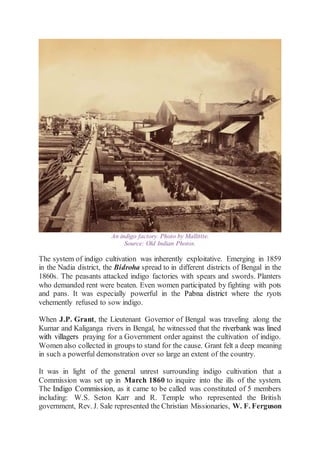 Indigo Revolt in Bengal | DOCX