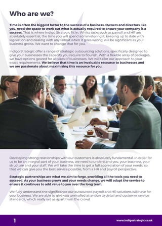 Indigo Strategic Brochure | PDF