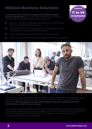 Indigo Strategic Brochure | PDF