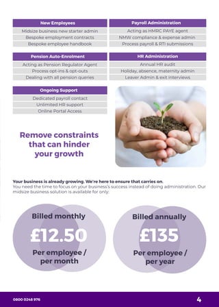 Indigo Strategic Brochure | PDF