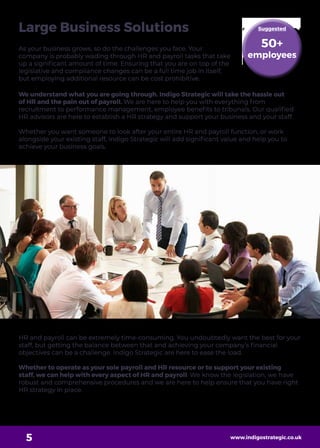 Indigo Strategic Brochure | PDF