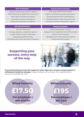 Indigo Strategic Brochure | PDF