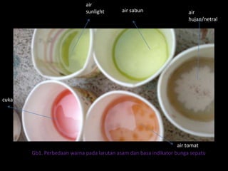 Indikator Alami | PPTX