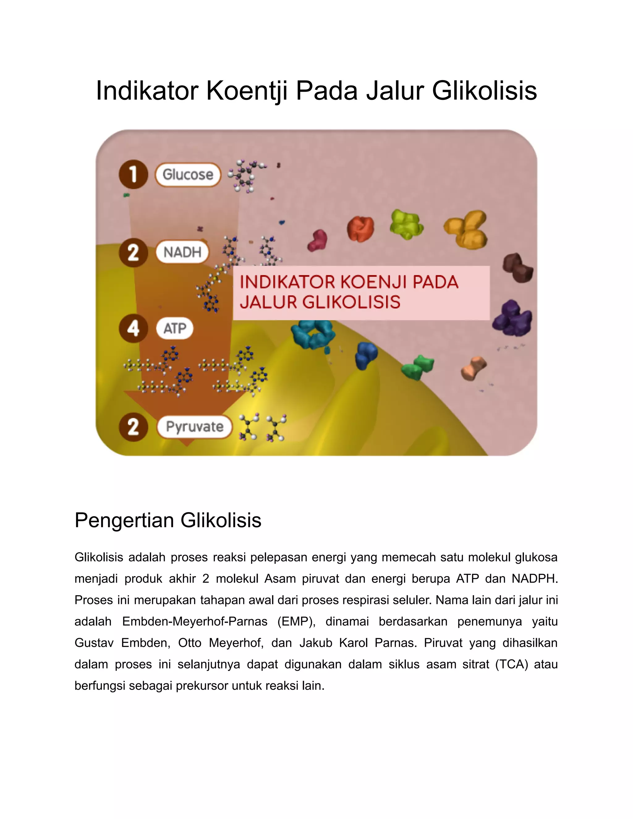 Indikator Koentji Pada Jalur Glikolisis | PDF