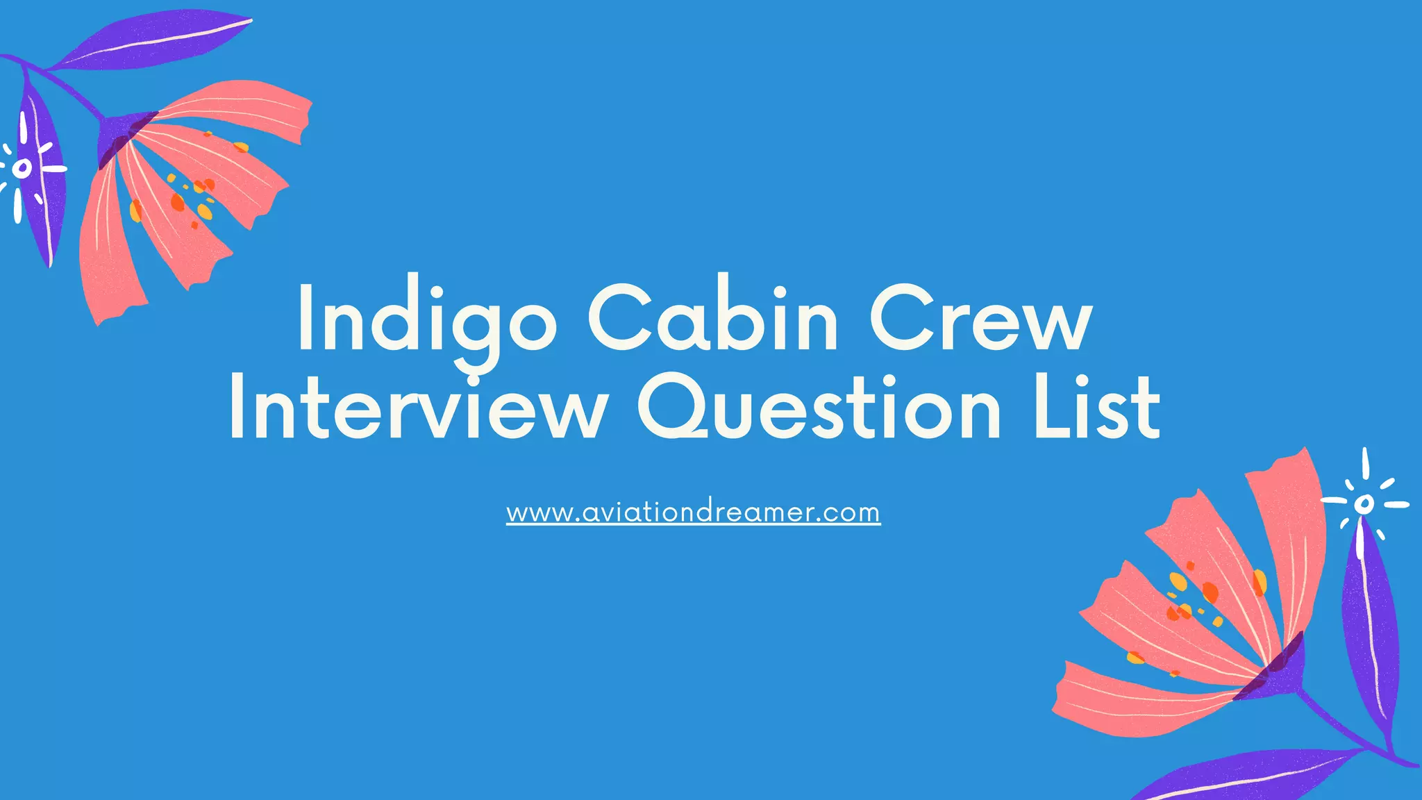 Indigo Airline Interview Question List for Fresher [Updated] | PDF