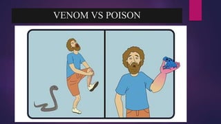 VENOM AND ANTIVENOM | PPTX