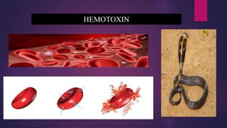 VENOM AND ANTIVENOM | PPT