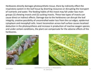 Indirect effect of Feeding by Insects.pptx