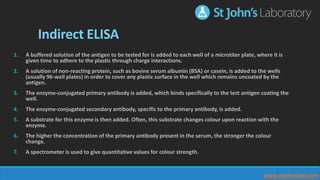 Indirect ELISA Protocol | St John's Laboratory | PPTX