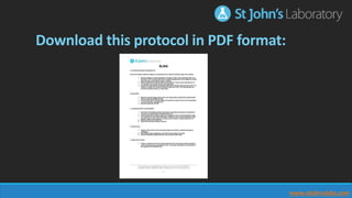Indirect ELISA Protocol | St John's Laboratory | PPTX