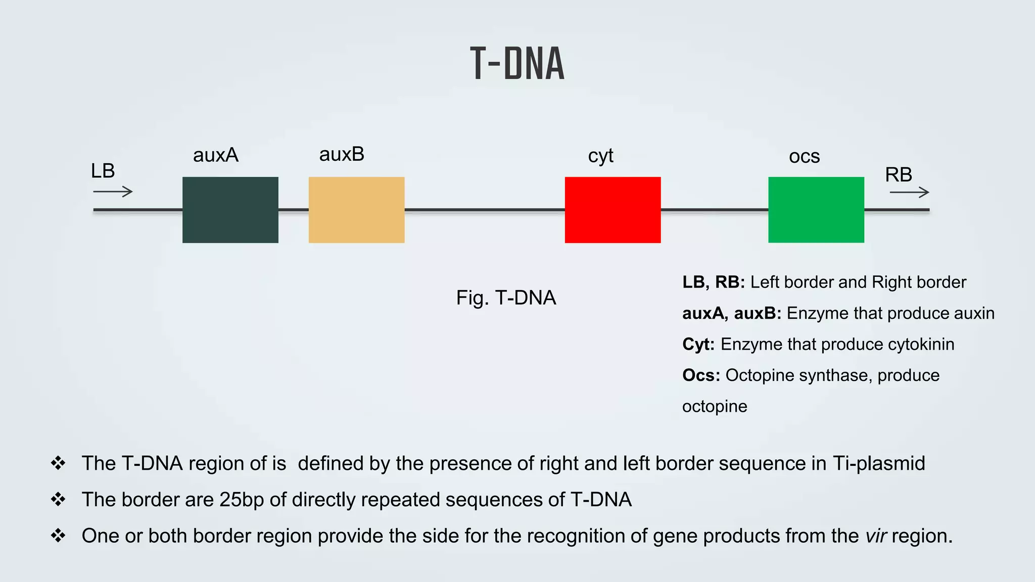 Indirect method of gene transfer.pptx