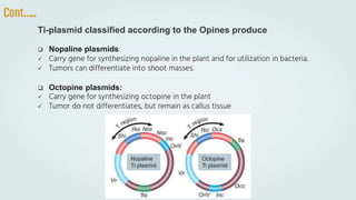 Indirect method of gene transfer.pptx