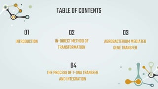 Indirect method of gene transfer.pptx