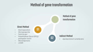 Indirect method of gene transfer.pptx