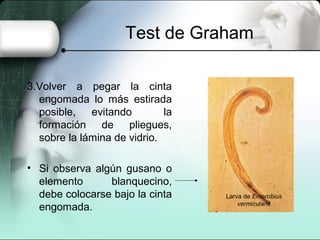 Test de Graham | PPT