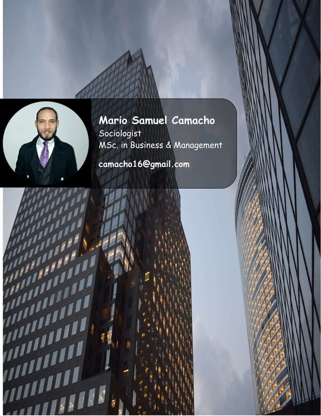 Inditex. a financial statement analysis. mario samuel camacho compressed | PDF