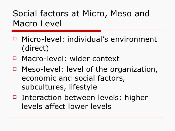 Individual and environment