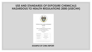 Individual Assignment 1 - USECHH 2000.pptx