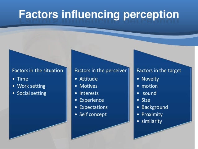 Individual behavior and perception