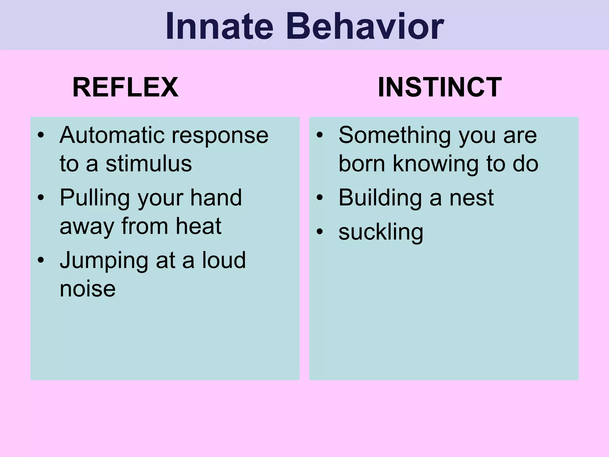 Innate and Instinct behaviour | PDF